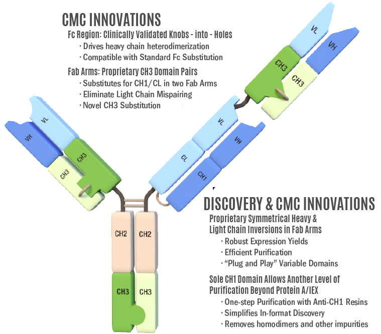 T-Body Trispecifics - Invenra